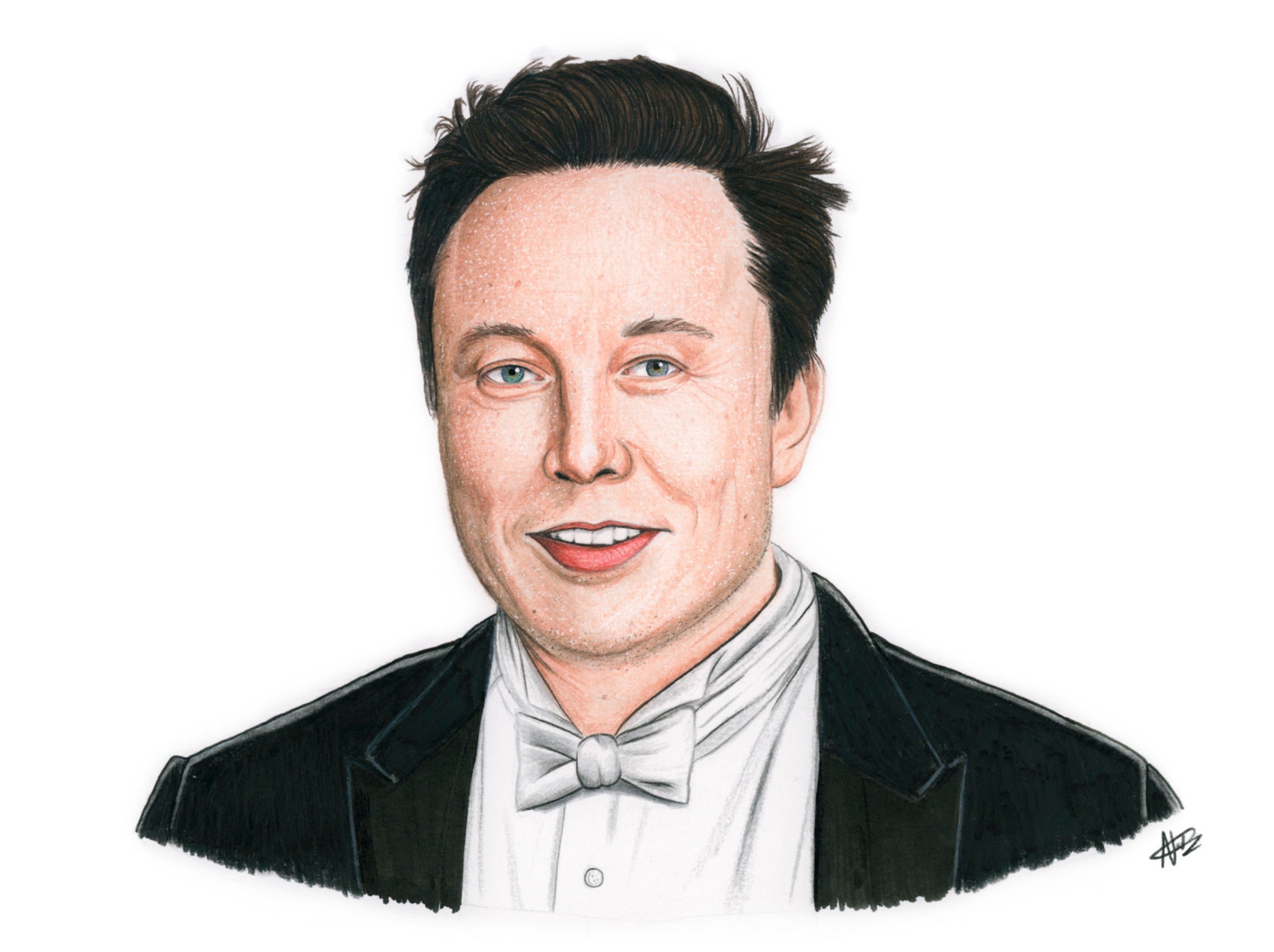 Elon Musk – The Artwork of Nathan McCarron